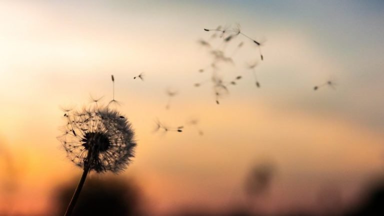 9 TESTED TIPS TO IMPROVE YOUR WELLBEING AND QUALITY OF LIFE - The ...